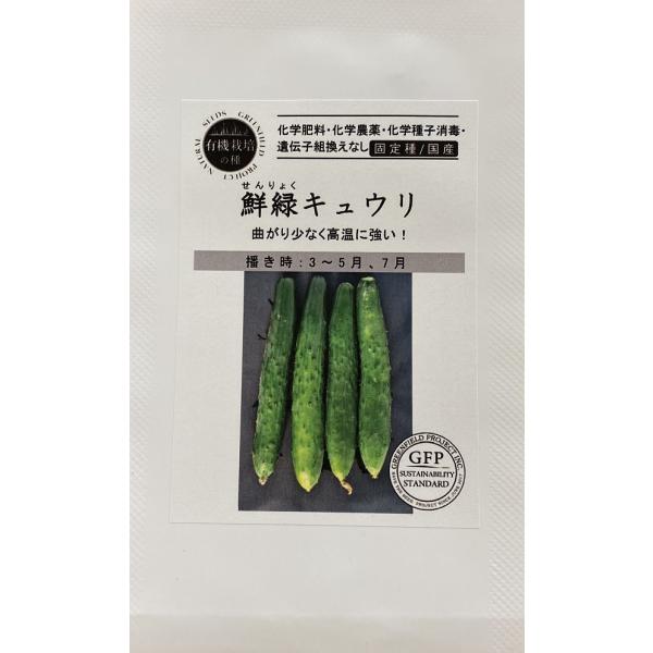 果実は鮮やかな緑色で曲がり少なく、果長は20cm前後。高温に強い品種です。生でそのままかじるも良し、サラダに混ぜても、歯切れ良いフレッシュな味わいが楽しめます。固定種です　(F1ではありません)