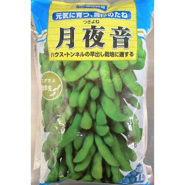 ・早出し栽培に向く極早生品種・低温着莢性に優れ、不良条件でも莢つき良好・甘みがあり食味に優れる