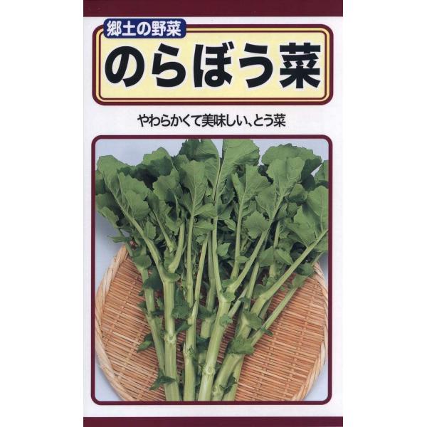 早春に伸びる「とう」を食べる野菜で「野良坊菜」と書きます。生育旺盛で作りやすく、くせのない「とう」でたいへん美味です。