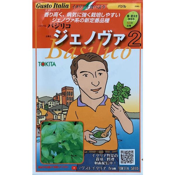 ジェノヴァタイプで、葉の表面の凸凹が少なく、濃緑です。葉の大きさは比較的小さいが、肉厚で見た目より収穫はあります。節間が短く、摘芯後の葉の展開がスムーズで、長期間の収穫にも向きます。