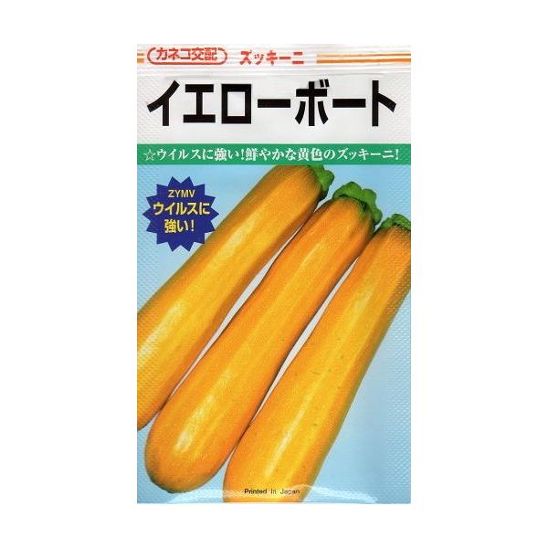 期限切れ（2026年10月）間近セール!・果実は黄色の円筒形、長さ15〜20cmで収穫します。・ウイルス（ZYMV）に対して耐病性があるので、大変作りやすいです。・肉、油と相性が良く、カレーやパスタ、炒め物、煮物など、　幅広い料理へ利用できます。