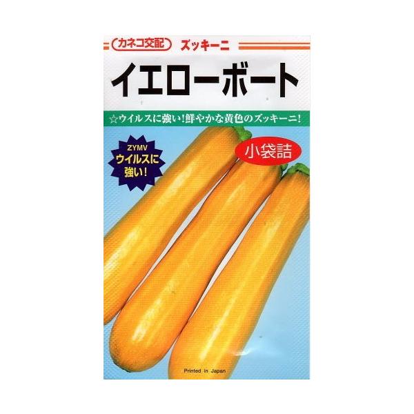 期限切れ（2026年10月）間近セール!・果実は黄色の円筒形、長さ15〜20cmで収穫します。・ウイルス（ZYMV）に対して耐病性があるので、大変作りやすいです。・肉、油と相性が良く、カレーやパスタ、炒め物、煮物など、幅広い料理へ利用できます。