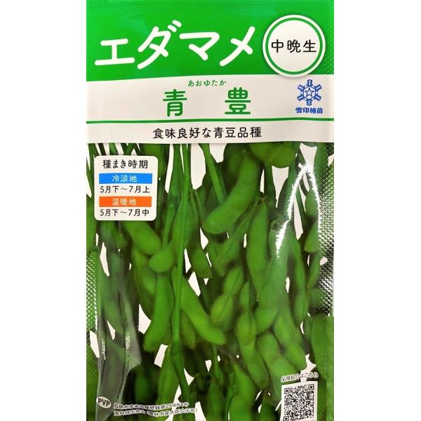 ・莢色は濃緑で見栄えのする大莢・青豆特有の甘みと旨みで食味良好・株内での莢の生育が比較的揃う