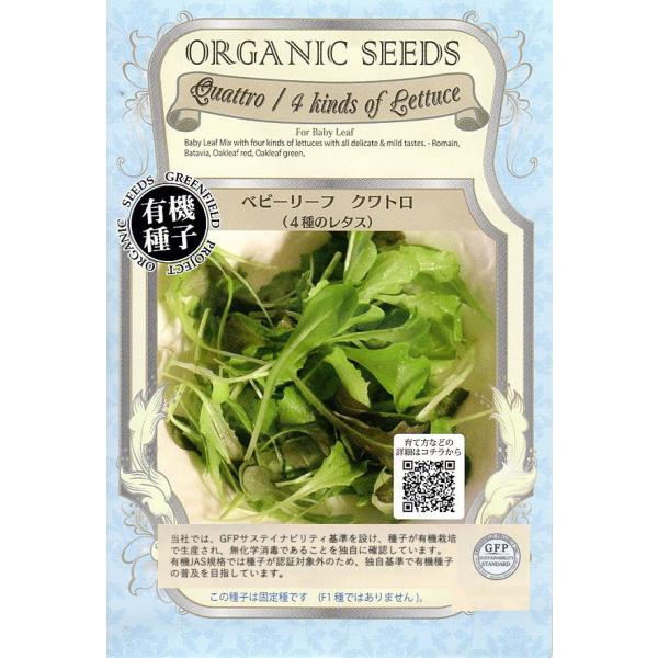 緑と赤が折り合った、マイルドな味わいのベビーリーフレタスで、ロメイン・バタビア・オークリーフ赤・オークリーフ緑の4種で、生育の揃いが非常に良いです。葉は柔らかく美味です。この種子は固定種です（F1種ではありません）