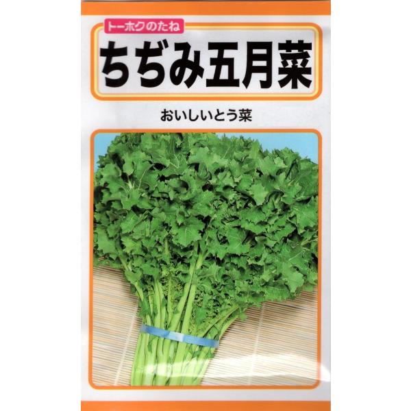 春に伸びる「とう」を食べます。寒さに強く生育旺盛。太くてやわらかい茎と細かいちぢみのある葉は風味がよく、雪国の春先にはなくてはならない野菜のひとつです。