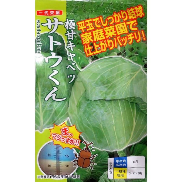 結球内部は鮮黄色。葉質は柔らかで食味は極上。平玉でしっかりと結球し、仕上がりは大変美しい。草勢は強く、丈夫で栽培は容易。