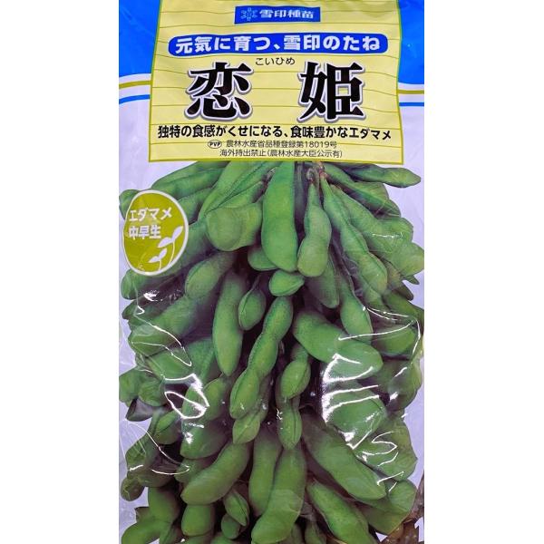 ・大莢で太り良くボリュームがある・花数多く、着莢性に優れ多収・甘みがあり、栗のような食感をもつ