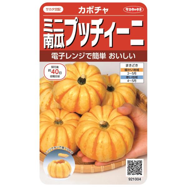 甘くておいしい、手のひらサイズのかわいいミニカボチャです。果実は黄橙色、200〜300g、1つるに3〜4果つきます。レンジで加熱しただけで、おいしく食べられます。