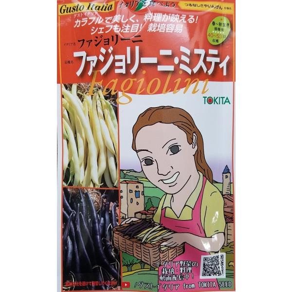 若莢を食べるサヤインゲンとして育成した蔓なしのヤサインゲンの品種。莢の色が黄色と紫色の2品種を個包装【黄色】播種後53日程で収穫。花は薄紫色、莢は淡い黄色。莢の長さは15cm程でやや平たい丸莢。【紫色】播種後40〜45日程で収穫。花は紫色、...