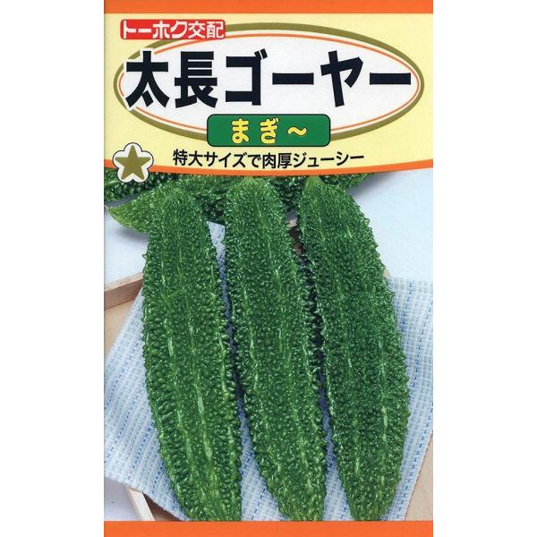 果実は35cm位の長さで、太さ7cmにもなる特大サイズ。草勢強く多収ですから直売所出荷にも適します。肉厚で穏やかな苦み、多くの人に好まれる食味です。