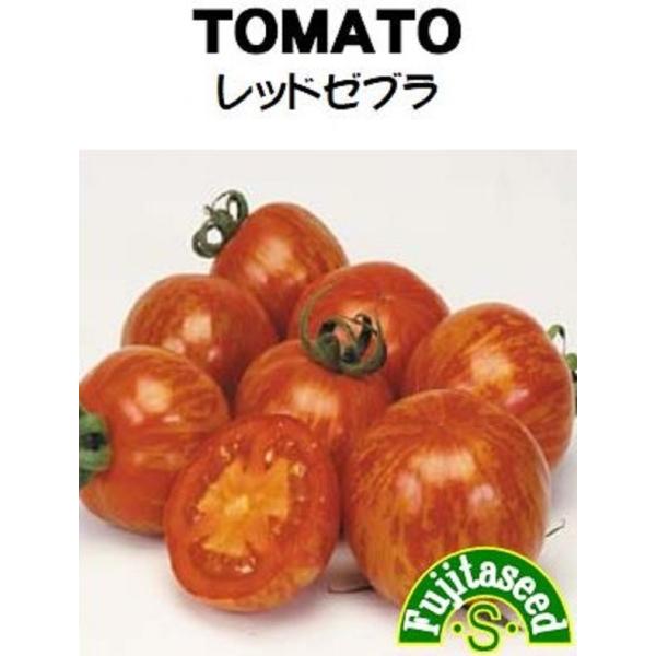 外皮が黄金色の縞模様のある、作り易く、米国では人気のゼブラトマトです。実は直径5〜6cmで、さわやかな甘みで風味良い品種です。スライスしてサラダの彩りに。