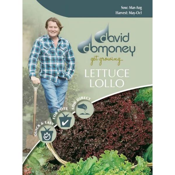 期限切れ（2026年12月）間近のため売り尽くしセール！魅力的で柔らかなレタスの葉をミックスしました。イタリアで最も有名な2つの品種、濃い赤色の葉が特徴のロロ・ロッサと、鮮やかなアップルグリーンの葉が特徴のロロ・ビオンダが含まれています。こ...