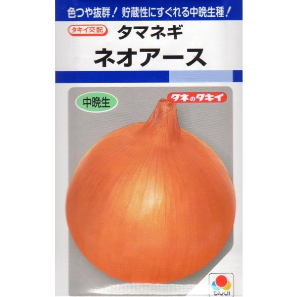 玉は豊円球で、色つやが特に美しい。玉しまり良好で、貯蔵病害も少なく翌年3月まで貯蔵できます。病気に強く、作柄の安定した増収型中晩生種です。