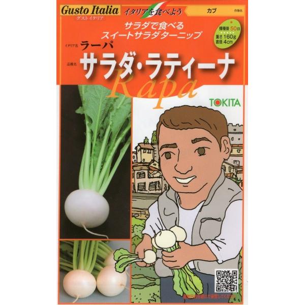 カブは古代ローマ時代から食べられていた野菜で貧しい人たちの食べ物とされていました。そのため日本で一般的な形状のカブはイタリアではほとんど発達せず、葉と蕾を食べるチーマ・ディ・ラーパが定着しています。本種は、日本で育種したカブですが、緻密で軟...