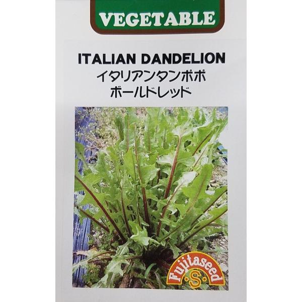 チコリやエンダイブのような苦味があるイタリアの高級野菜。若葉を順次摘み取りサラダの彩りに。お浸し、天ぷら、付け合わせに利用する。花もきれいなので、飾りや付け合わせに向く。美しい赤軸。