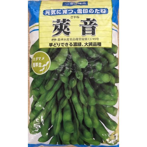 ・開花・収穫ともにサッポロミドリ並みの極早生品種・小葉で草勢がおとなしく、コンパクトにまとまる・白毛・濃緑の大莢でボリュームがある・抑制栽培にも適する