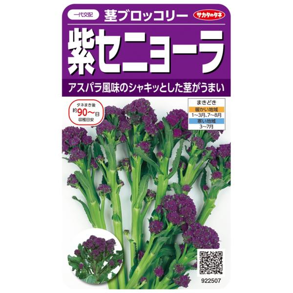 アスパラガスに似た甘みある花茎のスティックブロッコリーです。茎はクセがなく、甘くコリっとした歯ざわりが楽しめるおいしさです。加熱すると緑色になります。