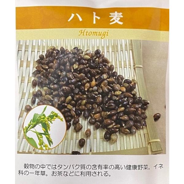 穀物の中ではタンパク質の含有率の高い健康野菜。<br>イネ科の一年草。<br>お茶などに利用される。