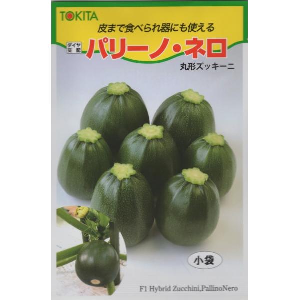 かわいい丸形のズッキーニ、果実色は濃緑色で光沢がある。開花後3〜5日後の果実直径7〜8cmで収穫。収穫の遅れは果実への傷や樹への負担になるため適期収穫を心掛ける。生育初期から草勢が安定し雌花、雄花がバランスよく開花して次々に果実が収穫可能。