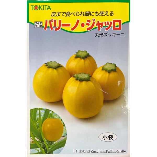 かわいい丸形のズッキーニ、果実色は鮮明な黄色。開花後3〜5日後の果実直径7〜8cmで収穫。収穫の遅れは果実への傷や樹への負担になるため適期収穫を心掛ける。生育初期から草勢が安定し雌花、雄花がバランスよく開花して次々に果実が収穫可能。モザイク...