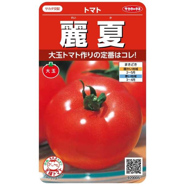 農林水産大臣賞に輝く、生育力が強く病気に強い、着果性によい大玉トマトです。果肉はしっかりとして日持ちがよく、果実の割れはほとんど発生しません。
