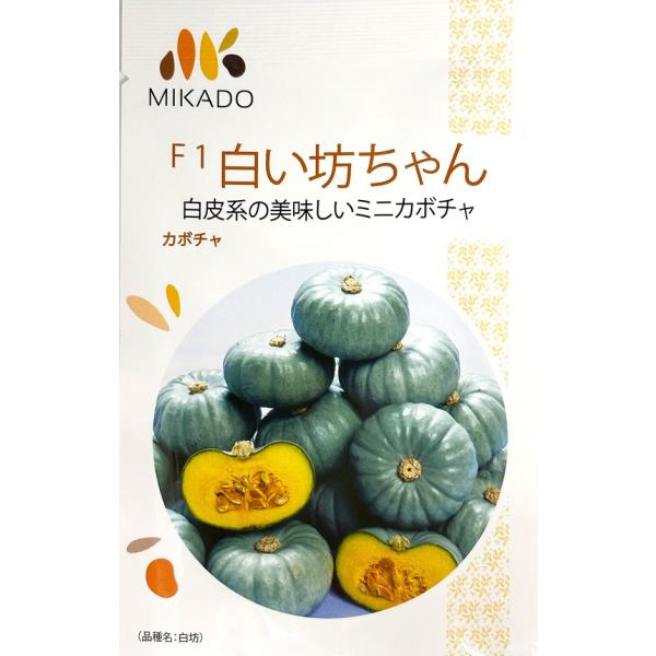 草勢は中位、葉は中葉で大玉種より小ぶりになる。雌花の発生がよく連続的に着果し、ウドンコ病の発生も遅く長期間に渡り収穫が可能である。果実は灰白色のミニカボチャで400g前後になり、果肉は淡黄色の強粉質系で特に日持ちがよい。ウイルス病に罹病した...