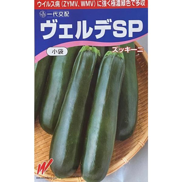 1．果実は極濃緑色の円筒形。毛じが少なく、斑点は小さいため目立たない。2．草勢はおとなしく、総着果数は「ヴェルデ」よりも多い。3．葉は極濃緑色で、草姿はやや立性。葉裏のトゲが少なく作業性に優れる。4．ズッキーニ黄斑モザイクウイルス(ZYMV...