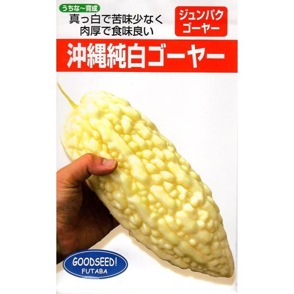 大型で果長25〜30cm、果重は平均で400g位になり、大きいもので700g以上になる品種です。果径は8〜10cmで果色はくすみの無い純白色。肉厚でみずみずしく苦瓜が初めての方でも無理なく食べられます。薄くスライスして氷みずで冷やしマヨネー...