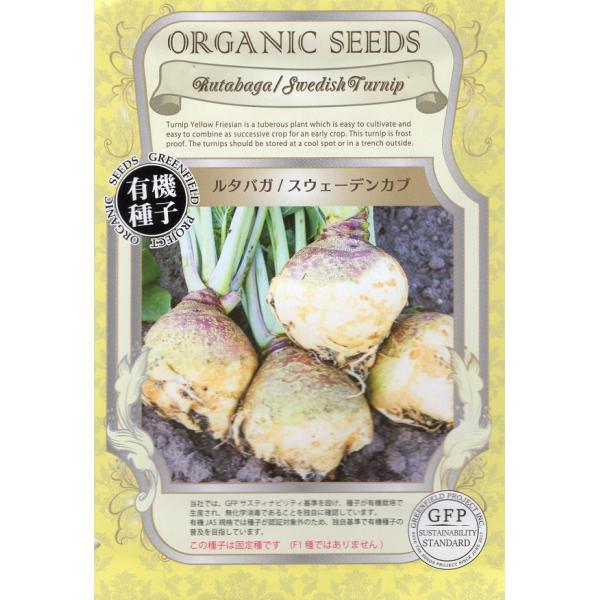 カブに似ているが、カブより固くゴツゴツとした肌で、より肥大します。肉質は緻密で、全体的に黄みがかり、ほのかな甘みがあります。煮込み料理やシチューにぴったりです。この種子は固定種です（F1種ではありません）