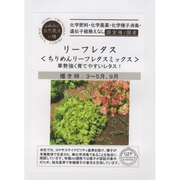 40〜50日前後で、まだ葉が若い時期に収穫すると葉がやわらかくおいしくいただけます。60日以上肥大させると、大株として収穫することもできます。固定種です　(F1ではありません)