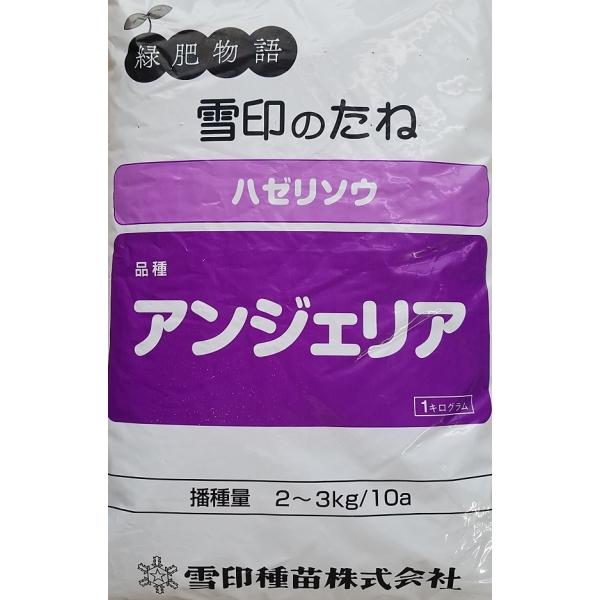 紫色の花を一面に咲かせ、景観緑肥として適します。