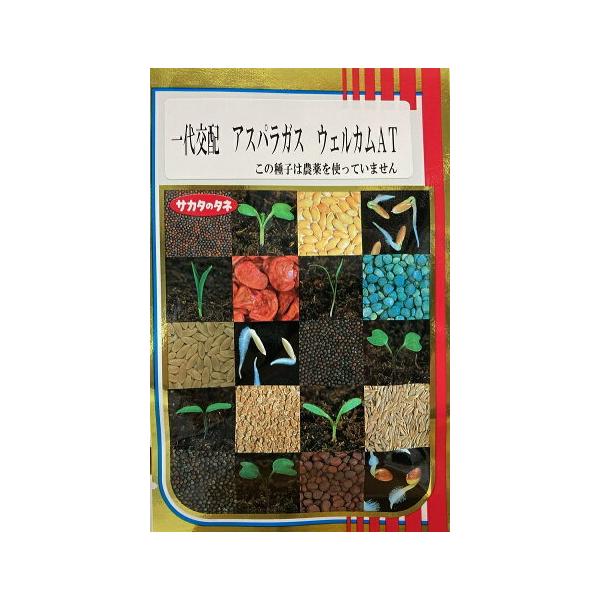 適応性が広い多収の全オス系品種。若茎は太くよくそろい、定植後2年目から高い上物率が期待できる。アントシアンの発生が少なく頭部の締まりは良好。草勢は比較的強いが、側枝発生が少なく茎葉が密集しにくいため管理しやすい。雌株が入らないため種子着果が...