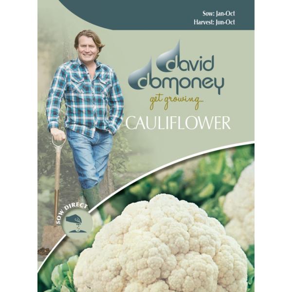 期限切れ（2026年12月）間近セール!人気の高い信頼性の高い品種です。さわやかな白色で、しっかりとした形状のおいしい凝乳が収穫できます。株はずんぐりとしたコンパクトな体型で、大きな外葉に守られています。そのため、頭部を数週間にわたって良好...