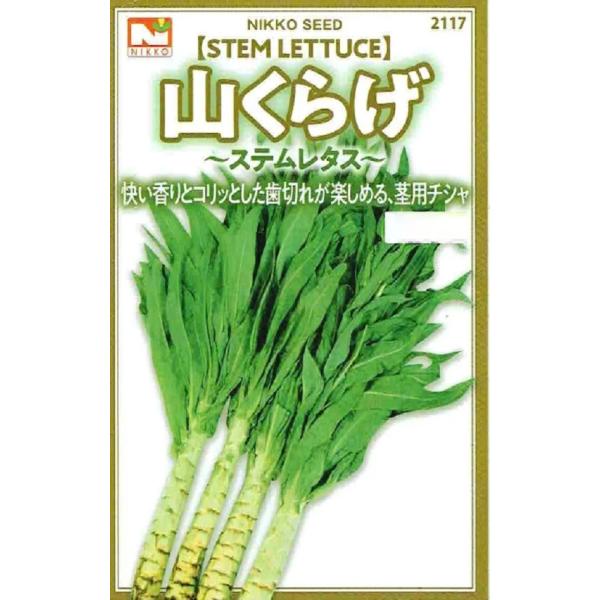 茎と若い葉を食する茎チシャで、レタスの一種で作り易く、家庭菜園向き。葉はレタスの様に新鮮な味覚が楽しめ、茎は快い香りを有し、近代人の食生活にピッタリの栄養野菜です。