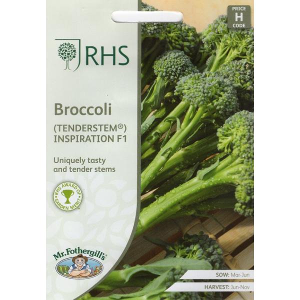 期限切れ（2026年12月）間近セール！アスパラガスのような風味があり、茎が柔らかくておいしいプレミム品種です。大株になると、細長い槍が何本も出てくる。A premimu variety with exceptionallu tender ...