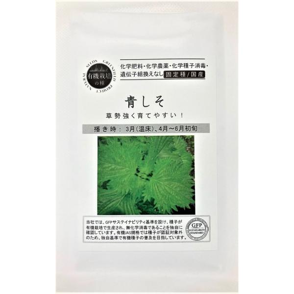 草勢つよく、大変育てやすいです。しそごはん、青しそ味噌などにピッタリの万能香味野菜です。無施肥で採取された種なので無施肥での栽培に比較的適性があります（圃場や栽培条件によって異なります。）固定種です　(F1ではありません)