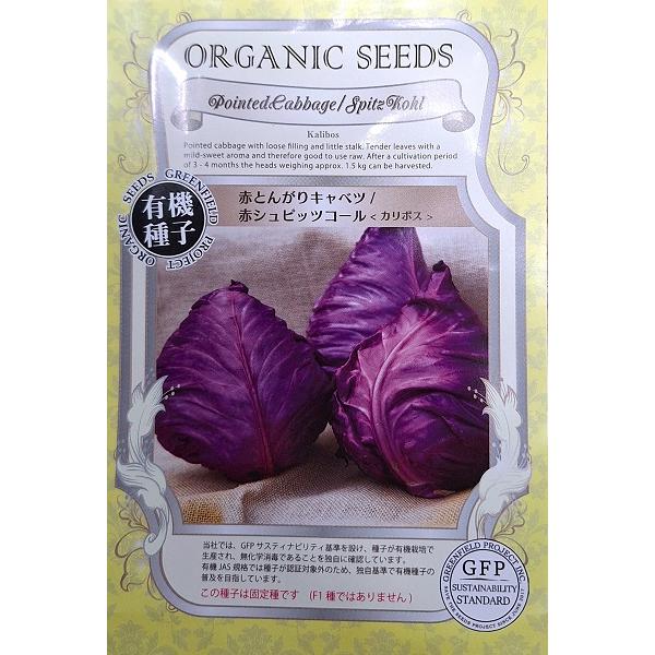 葉が柔らかく甘みと香りが程よい、生でもおいしいとんがりキャベツです。鮮やかな赤色が特徴です。※この種子は固定種です。F1種ではありません。