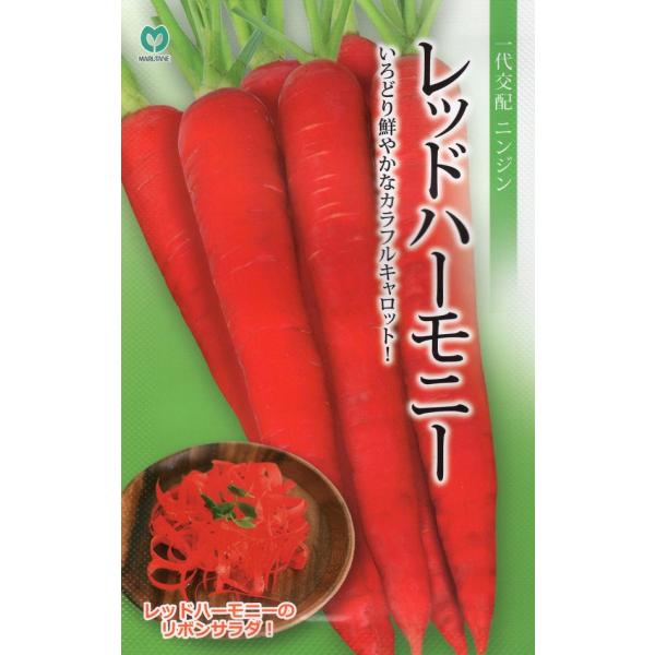 播種後110〜120日位で収穫する春・夏まき兼用の赤ニンジンです。根長は20〜25cm、直径は太いところで3〜4cm位になります。根色は濃い赤色で、内部まで美しい赤色となるインペレーター型のニンジンです。また、肌はなめらかでヒゲ根も少なく綺...