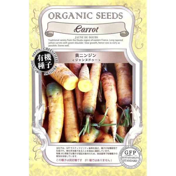 東フランスのブルゴーニュ地方(ドゥー県)の在来種。外皮も果肉も黄色(レモンイエロー)。先細タイプ。固定種です　（F1種ではありません）