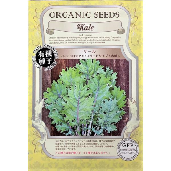 一般のケールと比較して葉が柔らかく甘いので、ベビーリーフで食べても大変おいしいです。葉が柔らかい品種なので、刻んで生のままサラダにまぜたり、炒め物にしてもおいしくいただけます。青汁にする場合は葉をジューサーに入れてしっかり搾り栄養価が落ちな...