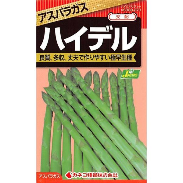 耐寒性が強く、早期より収穫できる極早生種です。頭部のしまりが密で、若い茎は濃緑で太く揃いがよく、香りの強い優れた品種です。生育は旺盛で栽培しやすい品種です。