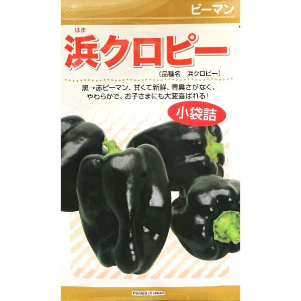 ●国内では珍しい、クリーム色のピーマンです。中早生種で、果は、最初からクリーム色に着色し、完熟果はオレンジに変化します。●果形は、獅子型で、一部尖り果が見られますが、小果（50g前後）から大果（100g以上）まで、いつでも収穫できます。●果...