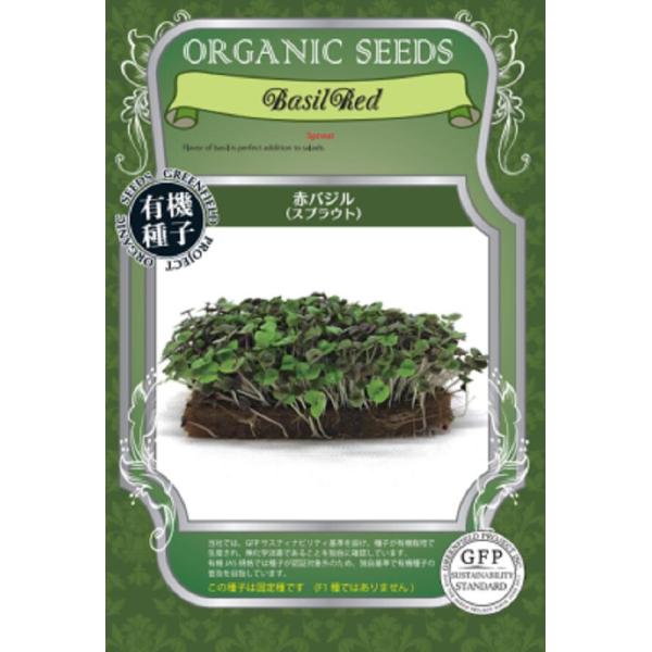 赤みのある色合いが楽しく、バジルの風味も楽しめる背丈の低いスプラウトです。草丈3〜5cmで収穫します。いろんな料理のつけあわせやサラダに最適です。この種子は固定種です（F1種ではありません）