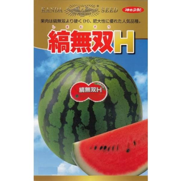 ●果形は正球形~やや高球形で、太く明瞭な縞が通り、地色も濃く、見栄えがする。果重は8kgとなり、秀品率が高く、収益性に富む。●果肉の締まりが良く、糖度も高く、食味が良い。●草勢は中以上であるが、着果性に優れ、収穫前に変形、空洞になることも少...