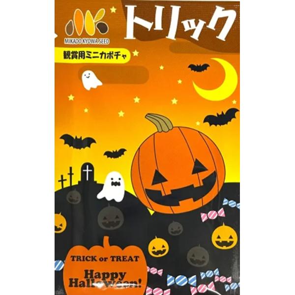 ●直径10cm、重さ400gの手のひらにのせられるミニサイズのハロウィンカボチャ。●あざやかなオレンジ色でととのった球形となる。●とても腐りにくく、長持ちする。