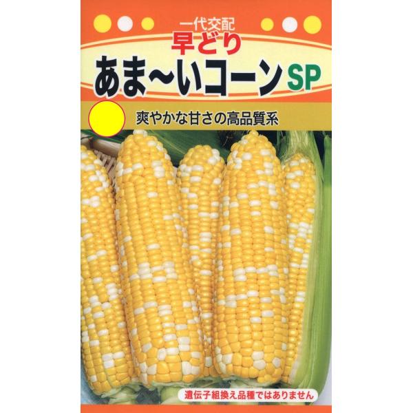 タネまきから83日で400g位になる早生バイカラー種です。倒伏にも強く先端まで実が着き、秀品率も安定しています。爽やかな甘さで直売所でも人気の品種です。品種名：XST-126140