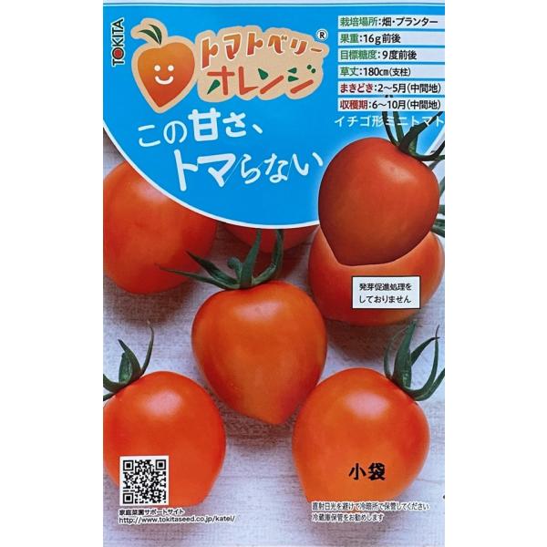 果実の果色は鮮オレンジ。着色は早い。1果重16g前後。花房内でのサイズ揃いが良く、果房あたり12〜16果が安定して着果する。糖度8〜9度と高品質。病気に強い。黄化葉巻耐病性（イスラエル型・マイルド型）、葉かび（Cf-9,Cf-5）抵抗性とT...