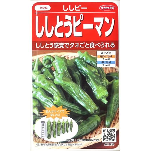 辛みがなく、タネごと食べられるミニピーマンです。果肉やわらかく、ピーマン特有の臭い少なく、ヘタをとればそのまま調理に使えます。焼く、煮る、炒める、揚げるなど幅広い調理に適します。