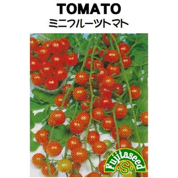 甘味の強い、平均果重15gの赤色のミニトマトです。ジューシーで美味しく、育て易い品種です。サラダやピクルスなどにおすすめです。