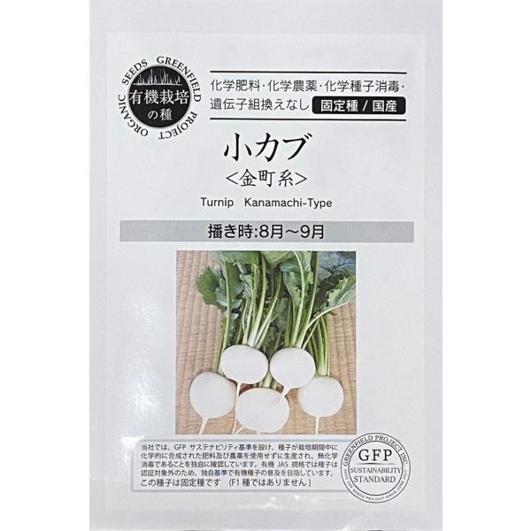 秋まきの白色の小カブでやや甲高の尻詰まり良い、半立性の品種です。 肉質が緻密で甘みがあり、漬け物の他、煮物やサラダにしてもおいしくいただけます。固定種です　(F1ではありません)